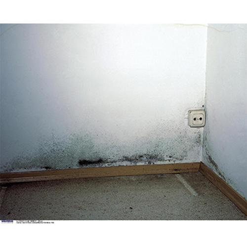 UniBond Humidity Absorber Small Device (White) 1554713 1554713