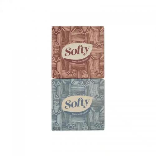 ValueX Facial Tissue Cube 2 Ply 70 Sheet White (Pack 24) 78208CP